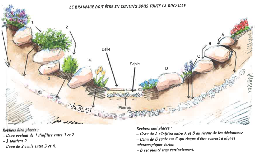 LE JARDIN DE ROCAILLES - Les Carnets de Georges Delbard