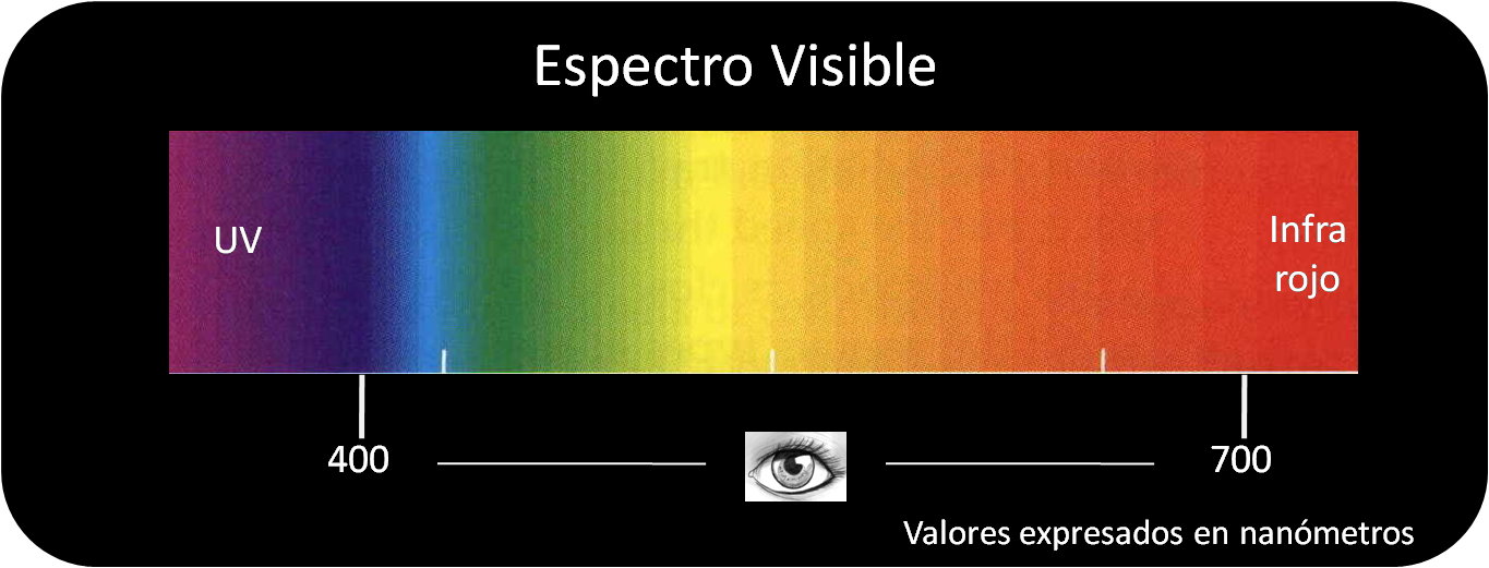 Through the lens: Teoría del color