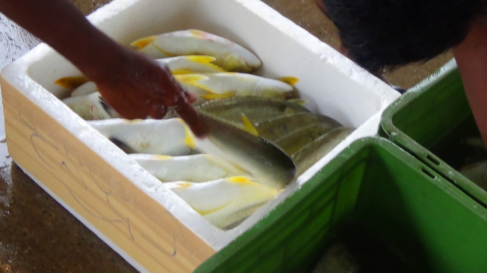 NEGOMBO SEAFOODS: KAHA PARAW