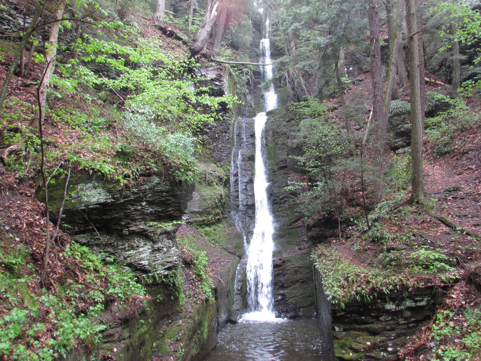 Two of the Best Falls in PA: Silverthread and Dingmans Falls, Delaware ...