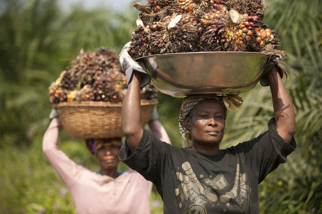 Golden Star in the Community: September 2016