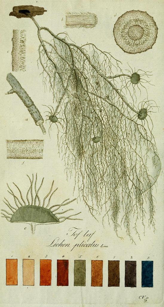 Letterology: The Color Atlas