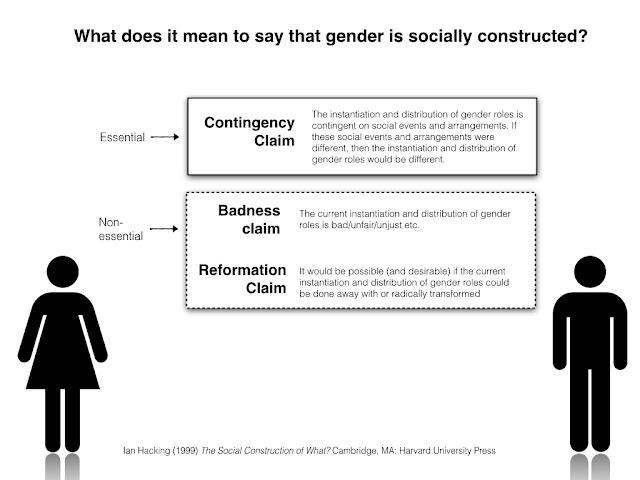 Philosophical Disquisitions: The Philosophy of Social Constructionism