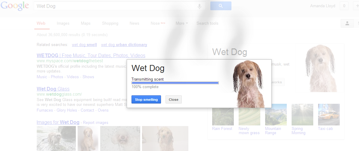 Amanda Explains It All