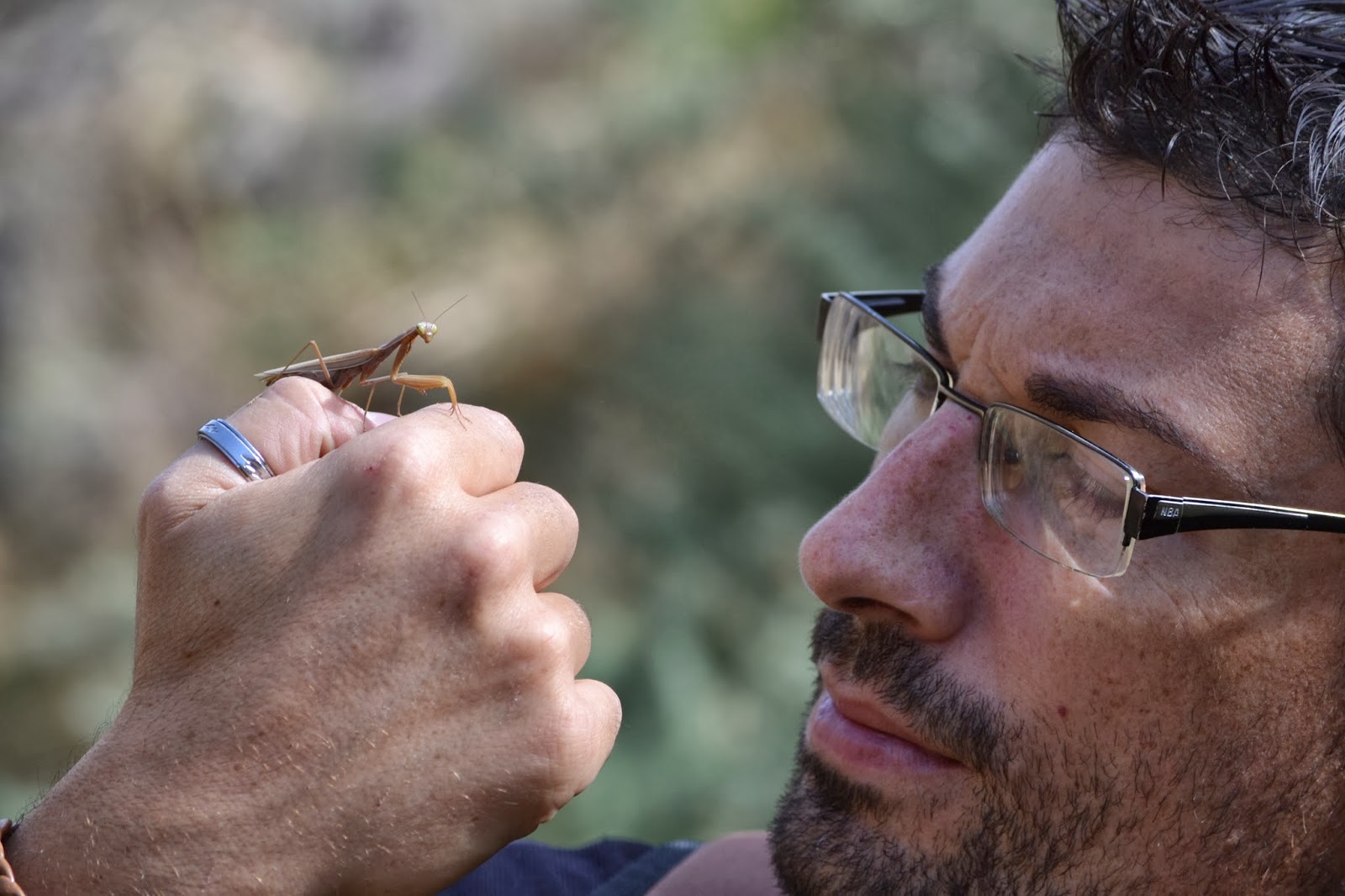 Vida y Estrellas (Divulgación Científica)_____: Los insectos ...