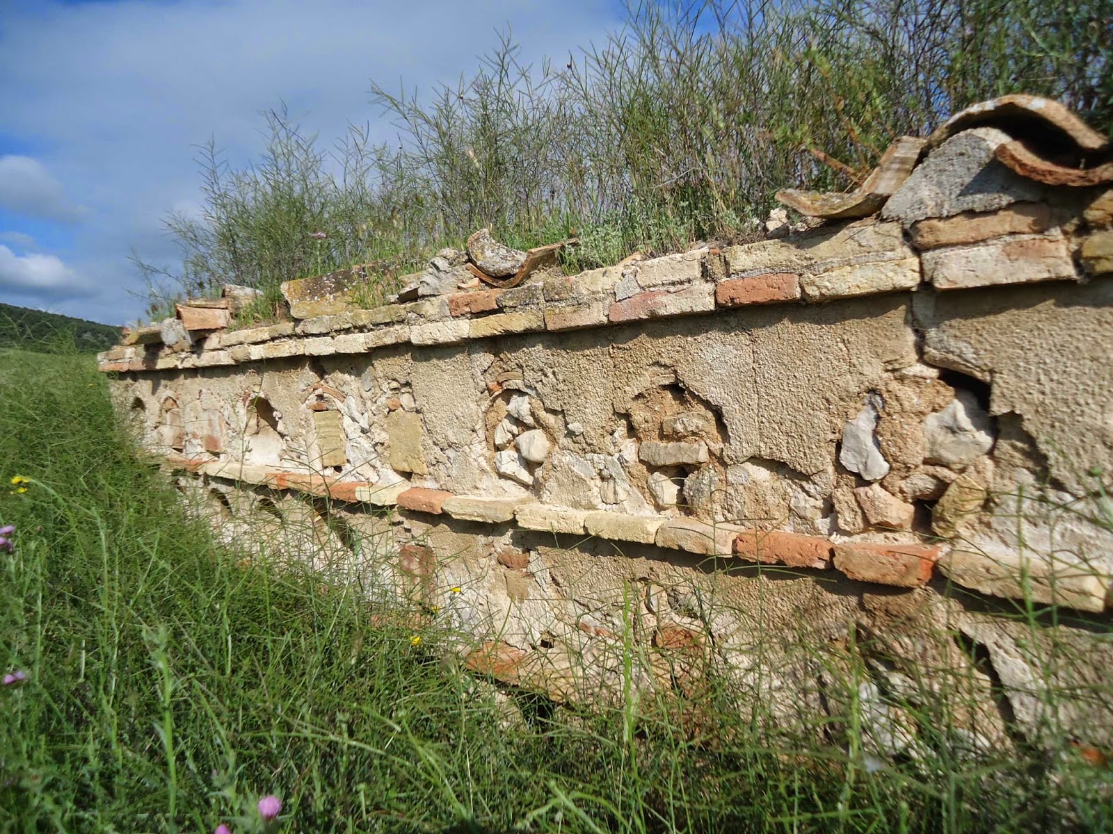 Centro de Estudios Borjanos: Un abejar en El Redondillo