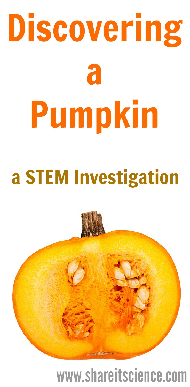 Share It Science Discovering A Pumpkin STEM Investigation share-it-science-discovering-a-pumpkin-stem-investigation