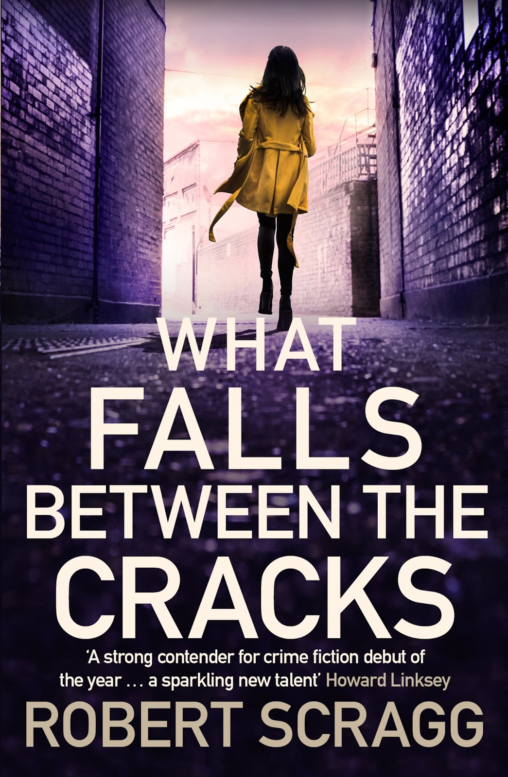 Review What Falls Between The Cracks By Robert Scragg review-what-falls-between-the-cracks-by-robert-scragg