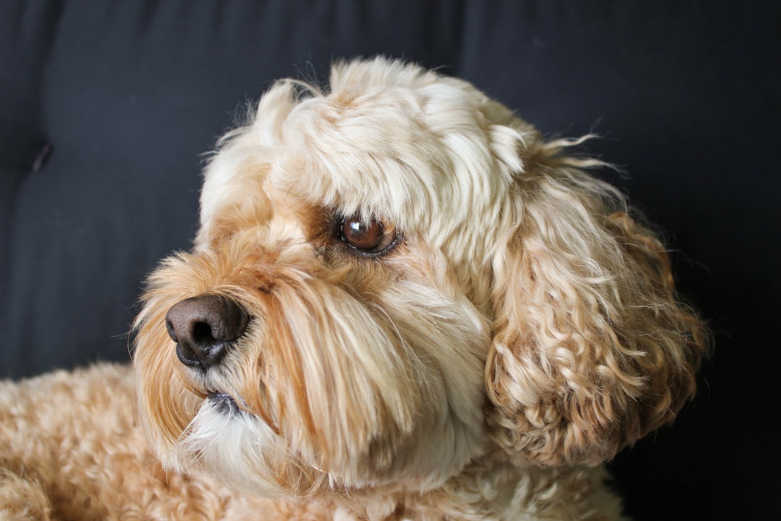 Danielle Renée Photography • Fine Art Photographer & Photojournalist ...