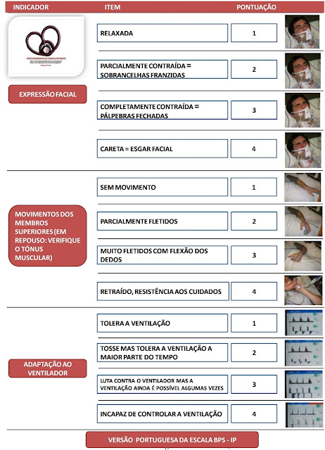 Viver Enfermagem em Cuidados Intensivos: BPS-IP - ESCALA COMPORTAMENTAL ...