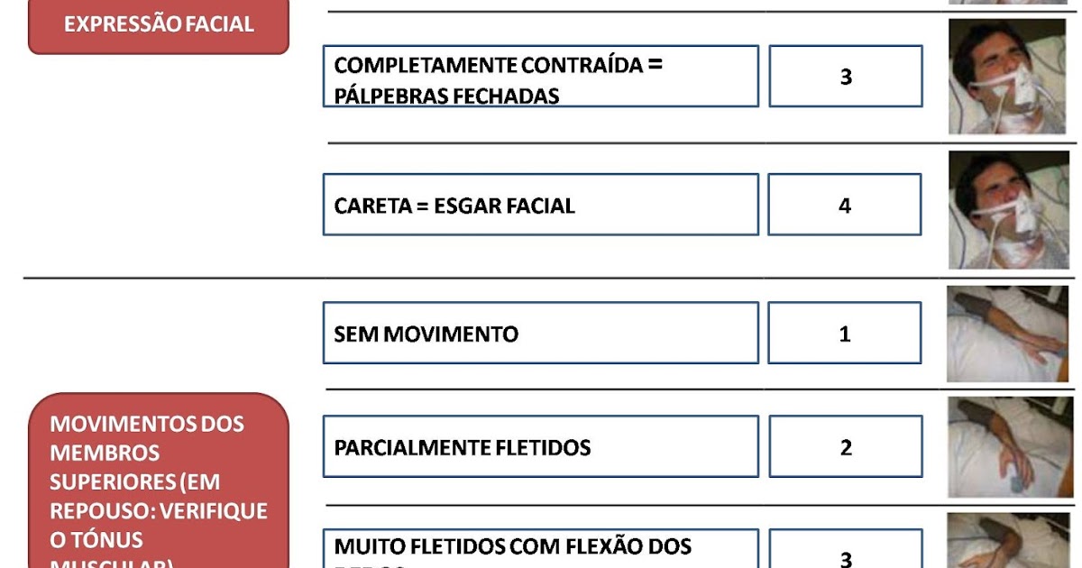 Viver Enfermagem em Cuidados Intensivos: BPS-IP - ESCALA COMPORTAMENTAL ...