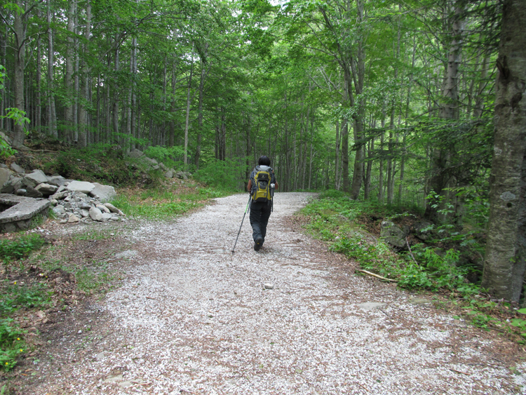 Escursionismo a 360°: Alpe Tre Potenze e Gomito (per il Lago del Greppo) EE