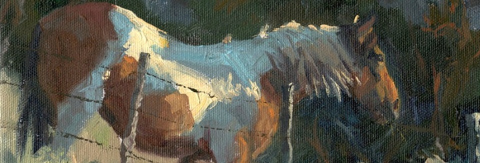 Artist Profile: Jan Mapes