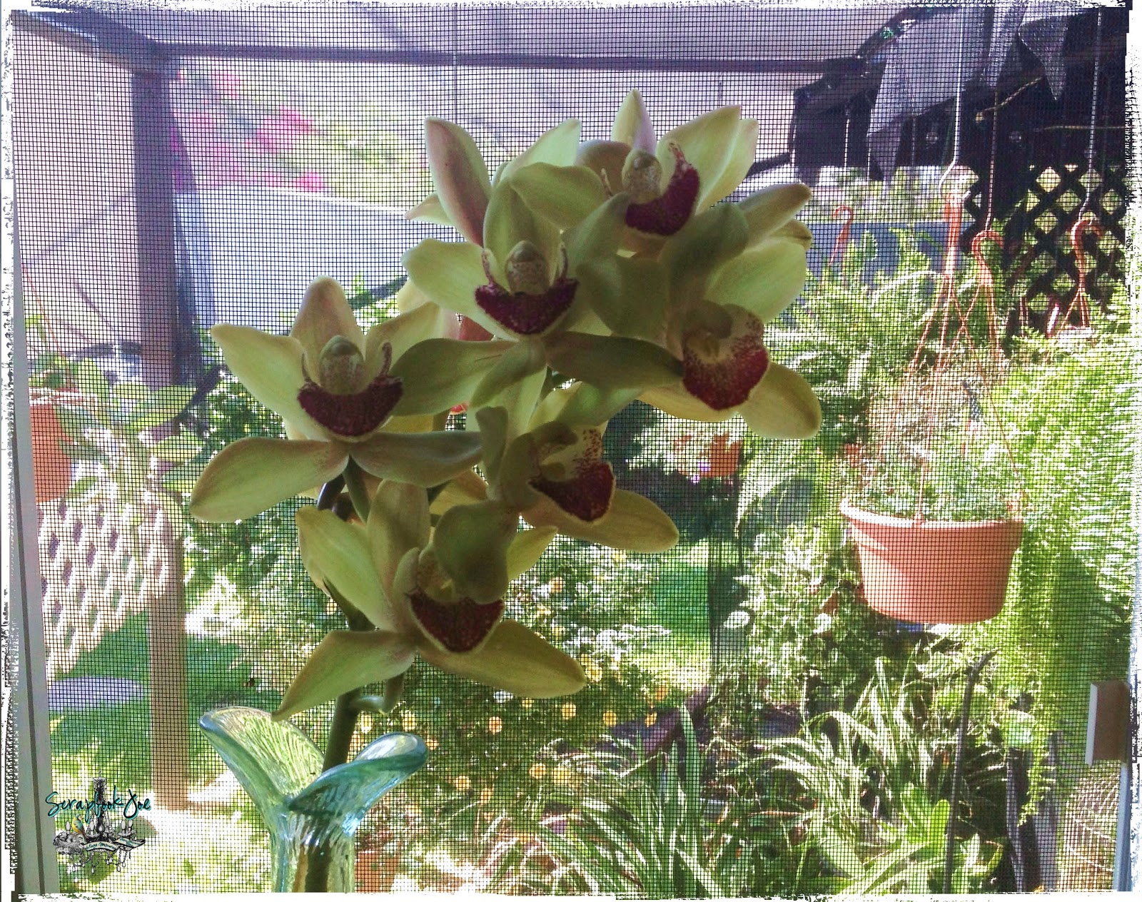 SCRAPBOOKJOE: October 2012