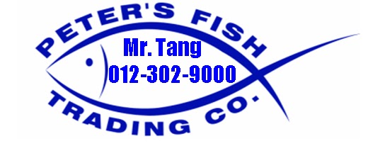River Fish Supplier, Peter's Fish Trading Co, Sarawak: KETUTU (LIFE ...