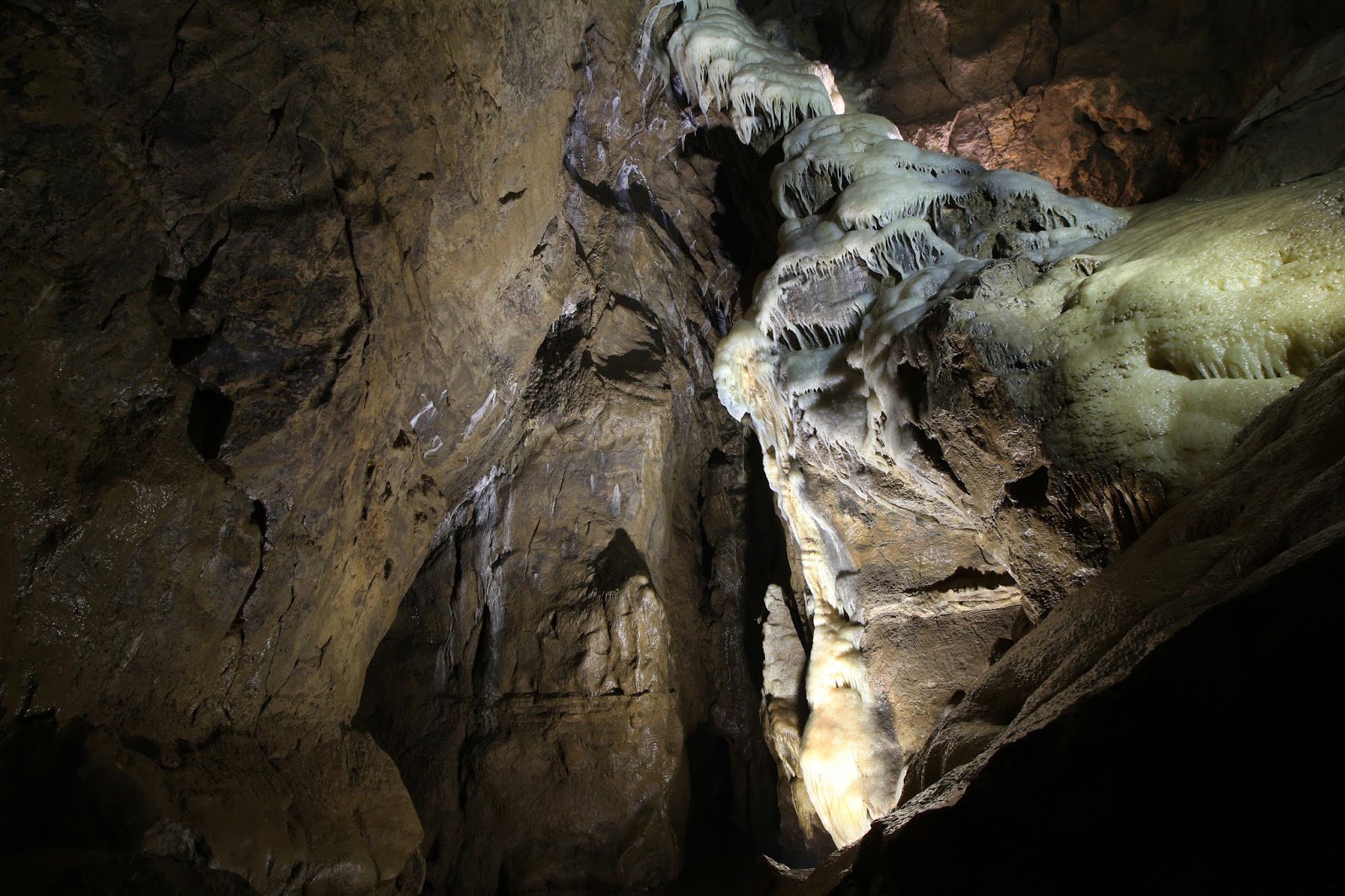 Ferret: Moss Chamber, Peak Cavern