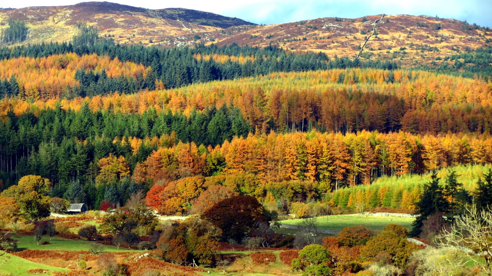 The Glebe Blog: A landscape walk in Galloway