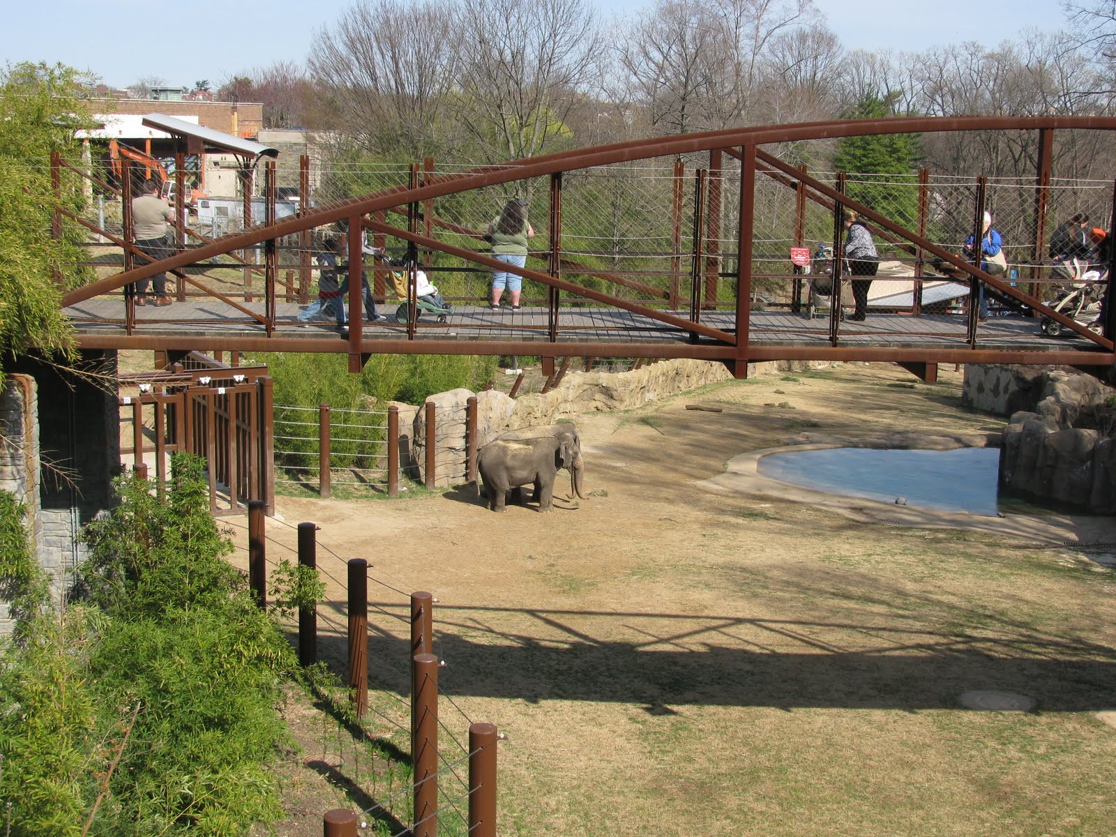 Today in my world....: First Visit to the National Zoo