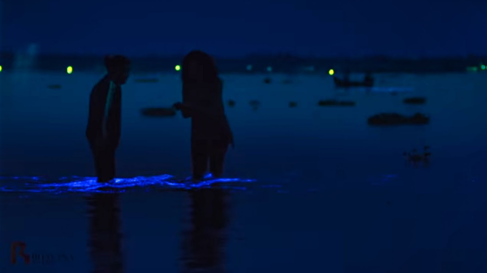 Devanarayanan Prasad: കുമ്പളങ്ങി നൈറ്റ്സ്