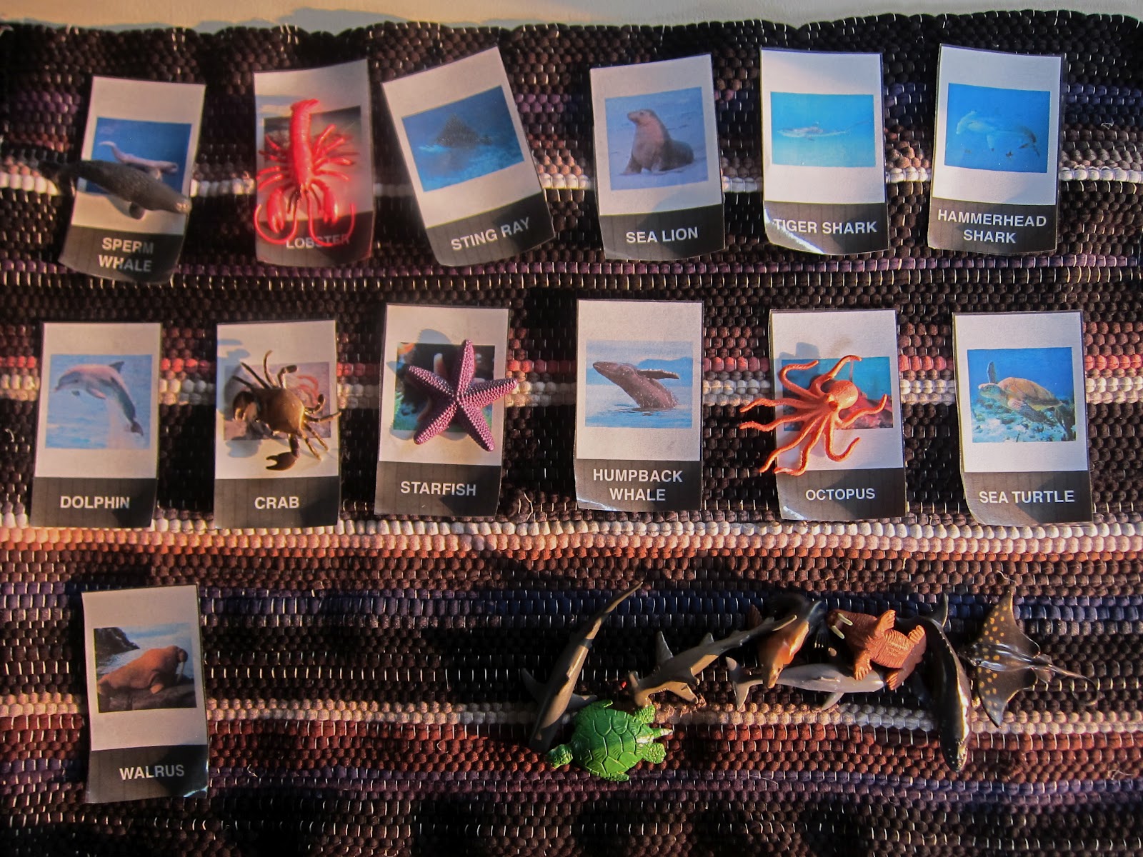 Unit Syllabus: Oceans/Sea Life