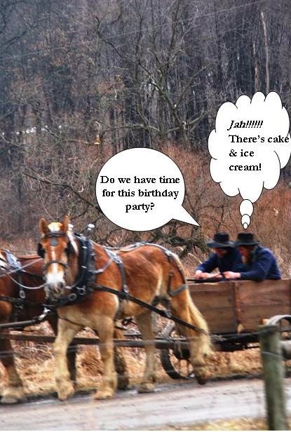 Amish Crossings with Karen Anna Vogel: Do the Amish celebrate birthdays ...