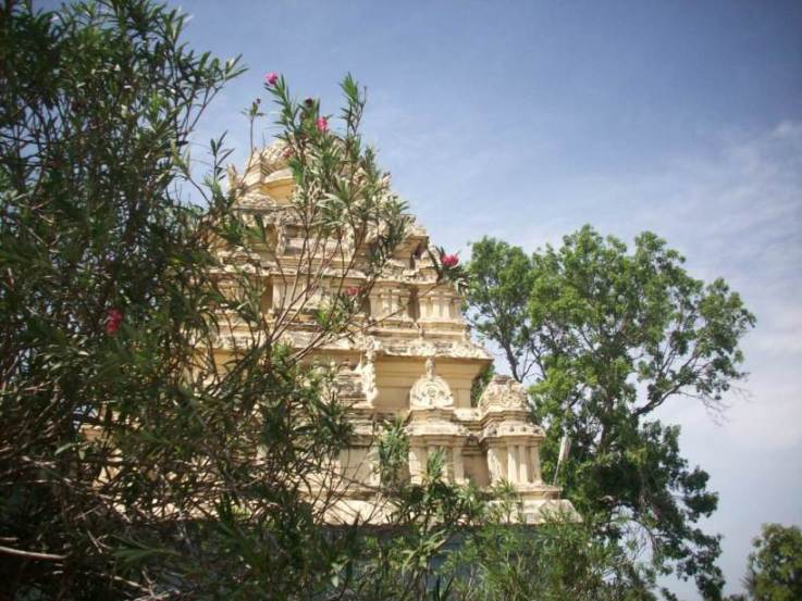 Azhinjal Tree - Nootreteeswarar Temple (Thiruvallur - Tamil Nadu) | My ...