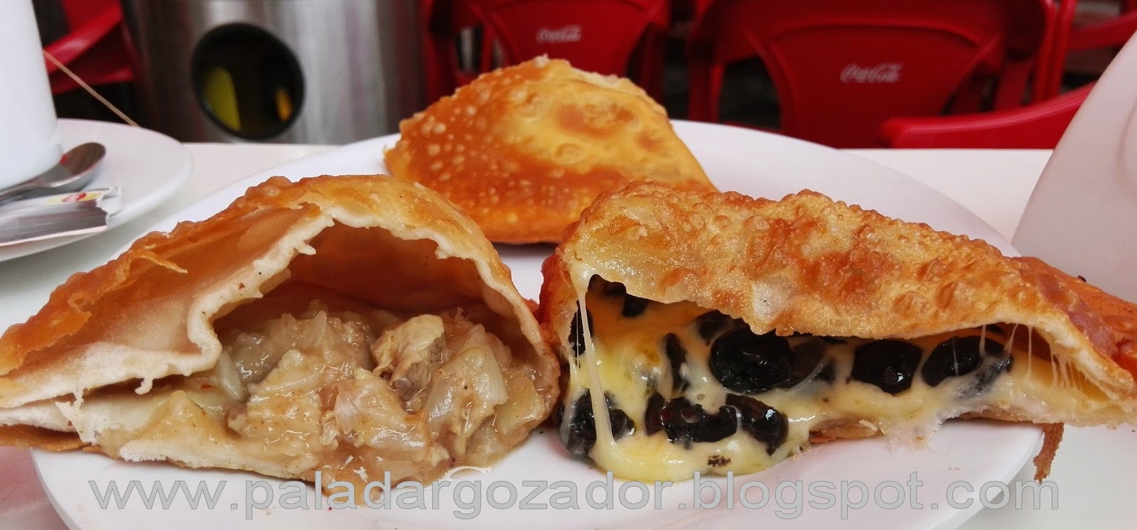 Paladar Gozador Chile: Empanadas Fritas en Concón y Providencia