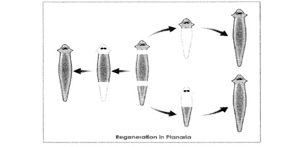 Soal latihan UN SMP IPA Kelas 9 Beserta Jawabannya Lengkap Terbaru