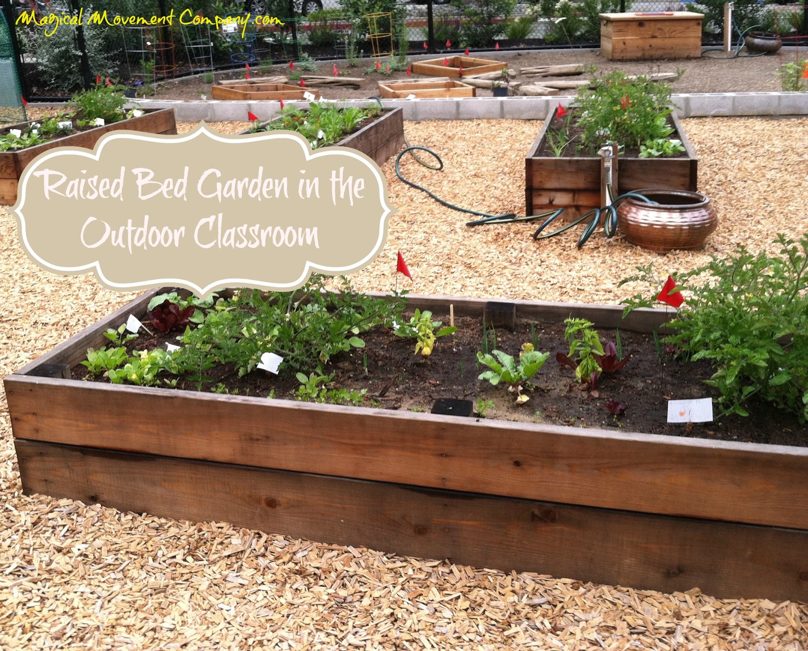 Montessori Outdoor Classroom: A Great Selling Point to Introduce Your ...
