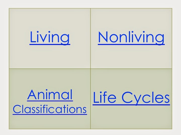 General Delk's Army: Life Cycle Posters and Power Point