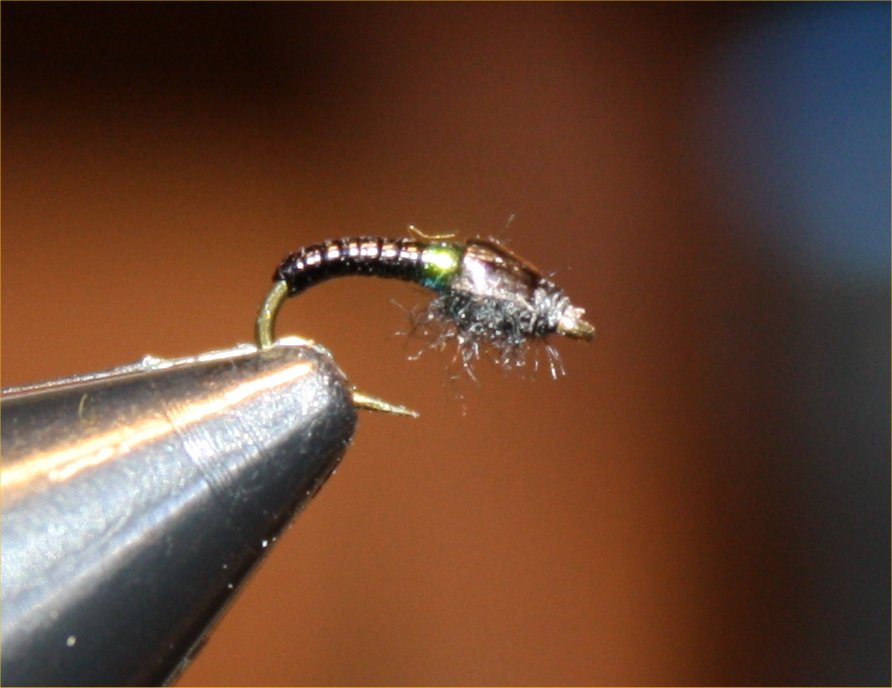 Wilson's Fly Fishing Adventures: Chironoflash Midge Pupa