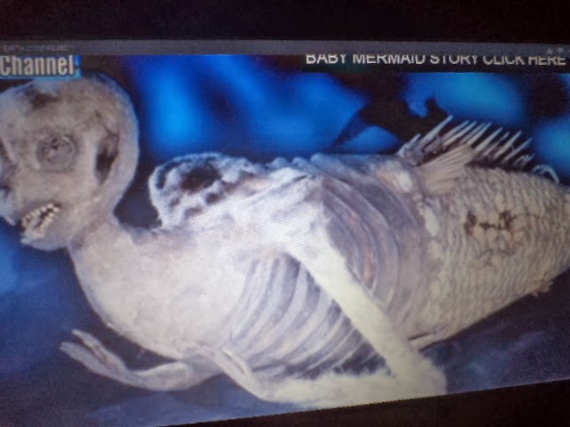 A HISTÓRIA DO HOMEM-PEIXE