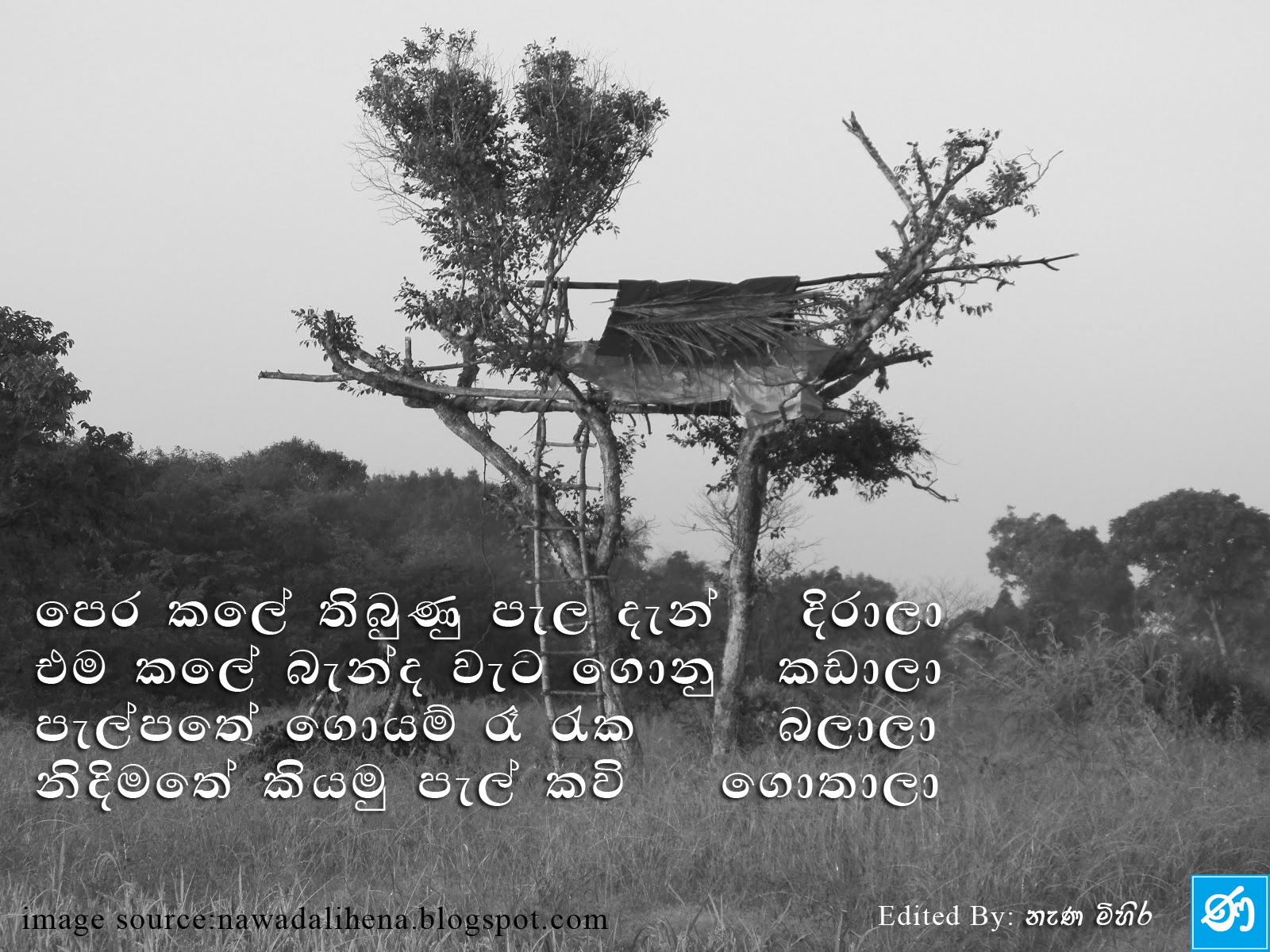 හිම අහුරු: අපෙන් ඈත් වී යන සොඳුරු රසවින්දනය - ජන කවි..