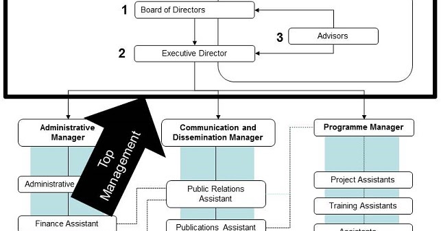 NGO Structure: NGO Organogram