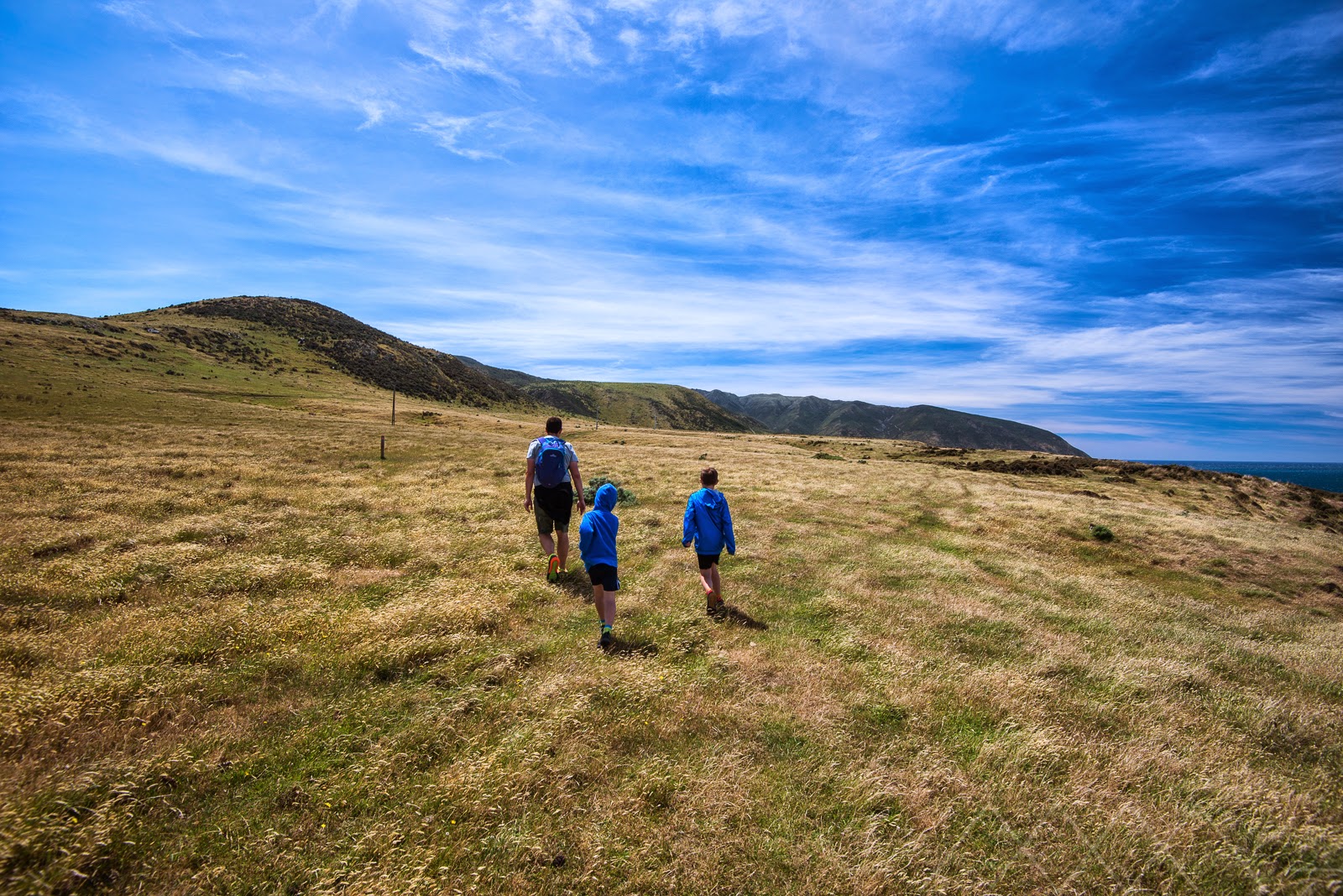 NZ Must Do: Adventures in Wellington - the walk to Baring Head ...