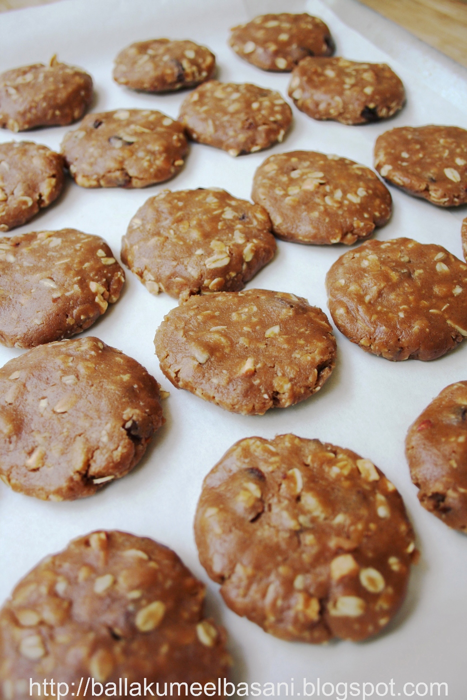 Ballakume Elbasani: Biskota me muesli dhe çokollate