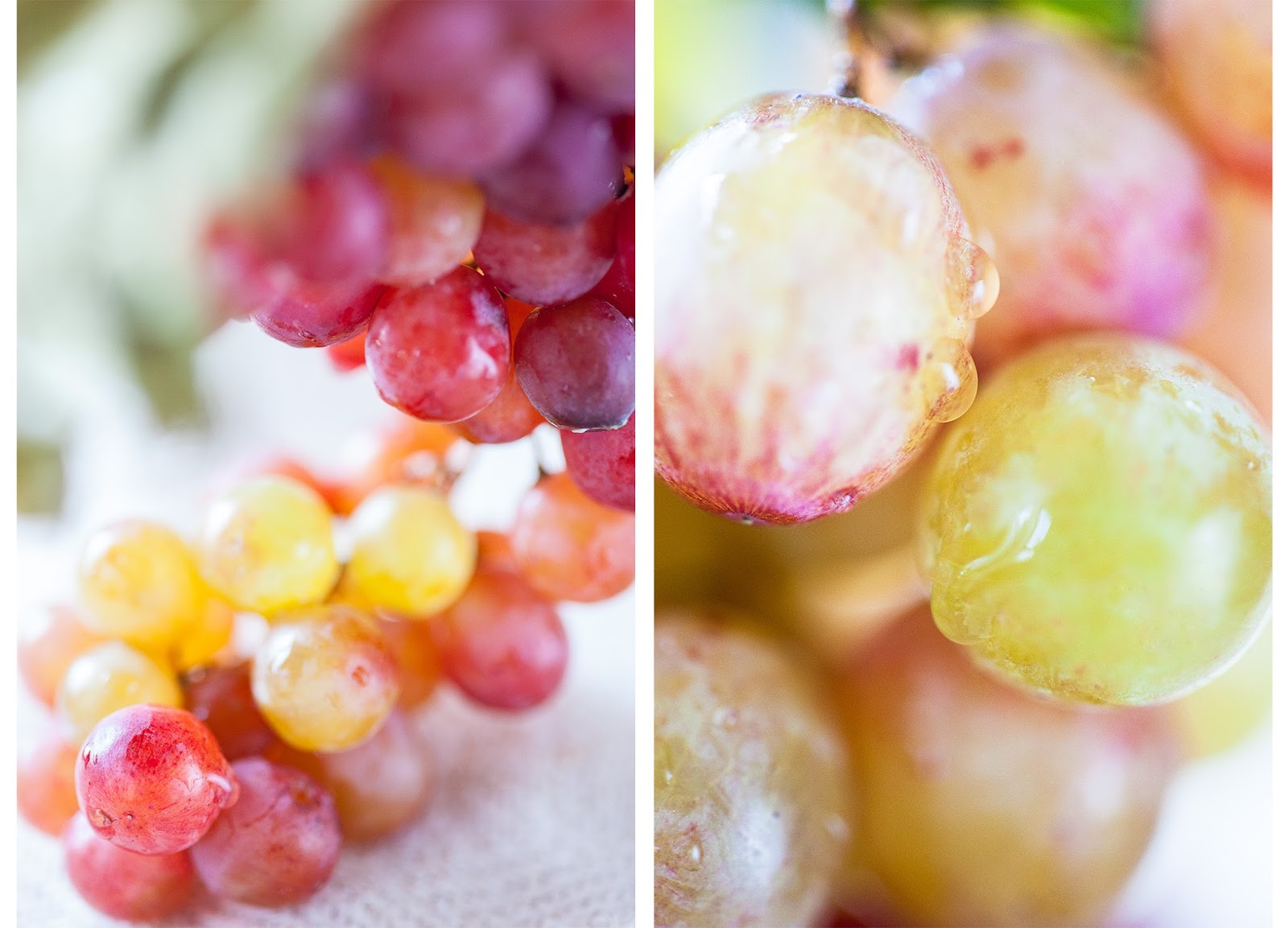 KAILEY J. FLYNN PHOTOGRAPHY