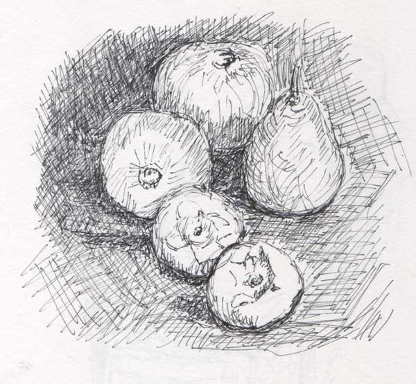 Kat Walk Designs: Revisit to a Pen and Ink Still Life, and some doodles