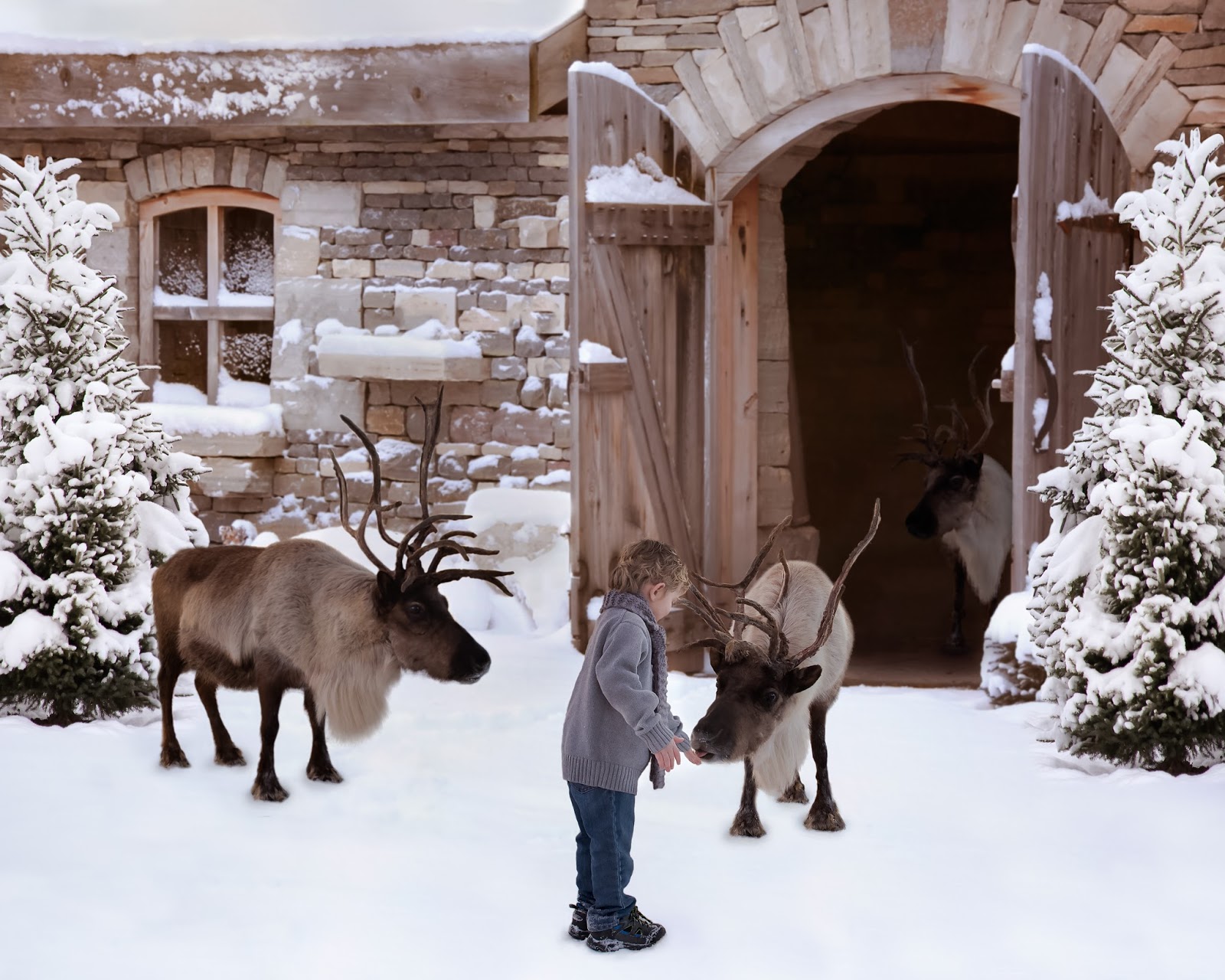 Outside Santa's Barn - Digital Artist - Logan, Utah