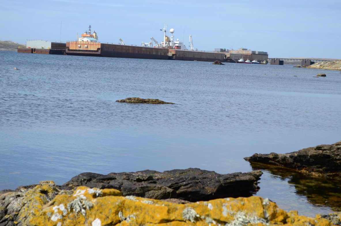 Container shipping at small, isolated Islands: Falkland Islands Shipping