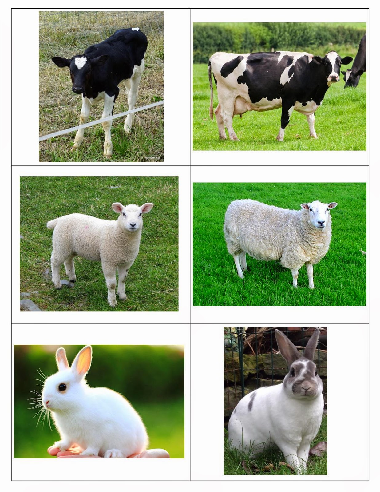 Sunbeams and Sundaes: Finding Joy in LDS Teaching: Lesson 1: I am a ...