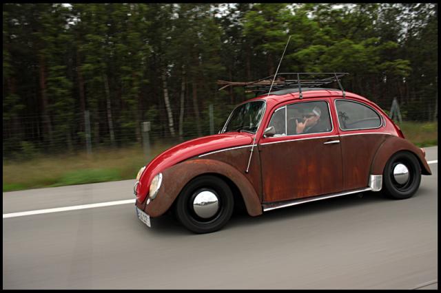 Ctba boxer- Rust Cuture: the Rusty Bug