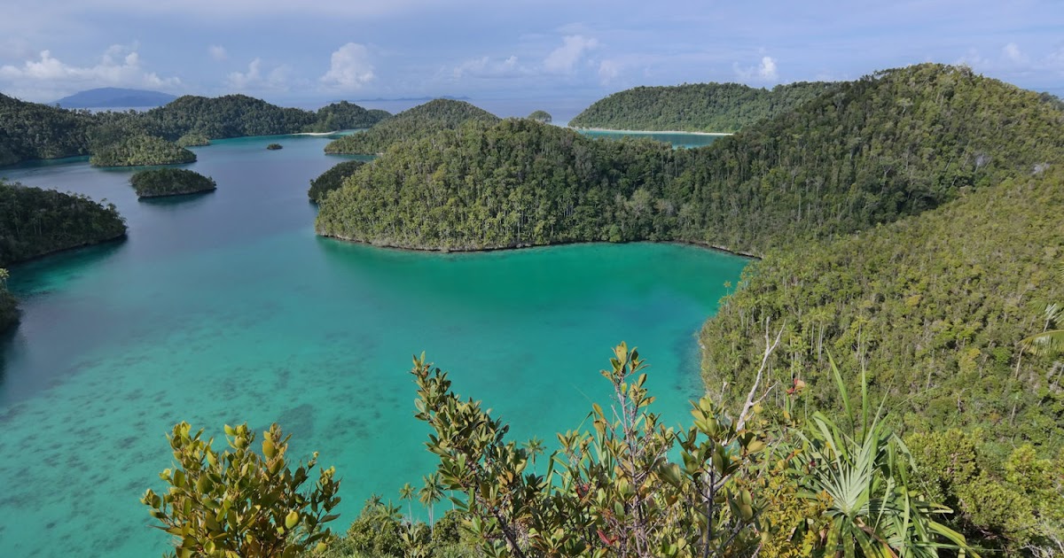 KEINDAHAN KEPULAUAN RAJA AMPAT ~ STEKOTIARCHI