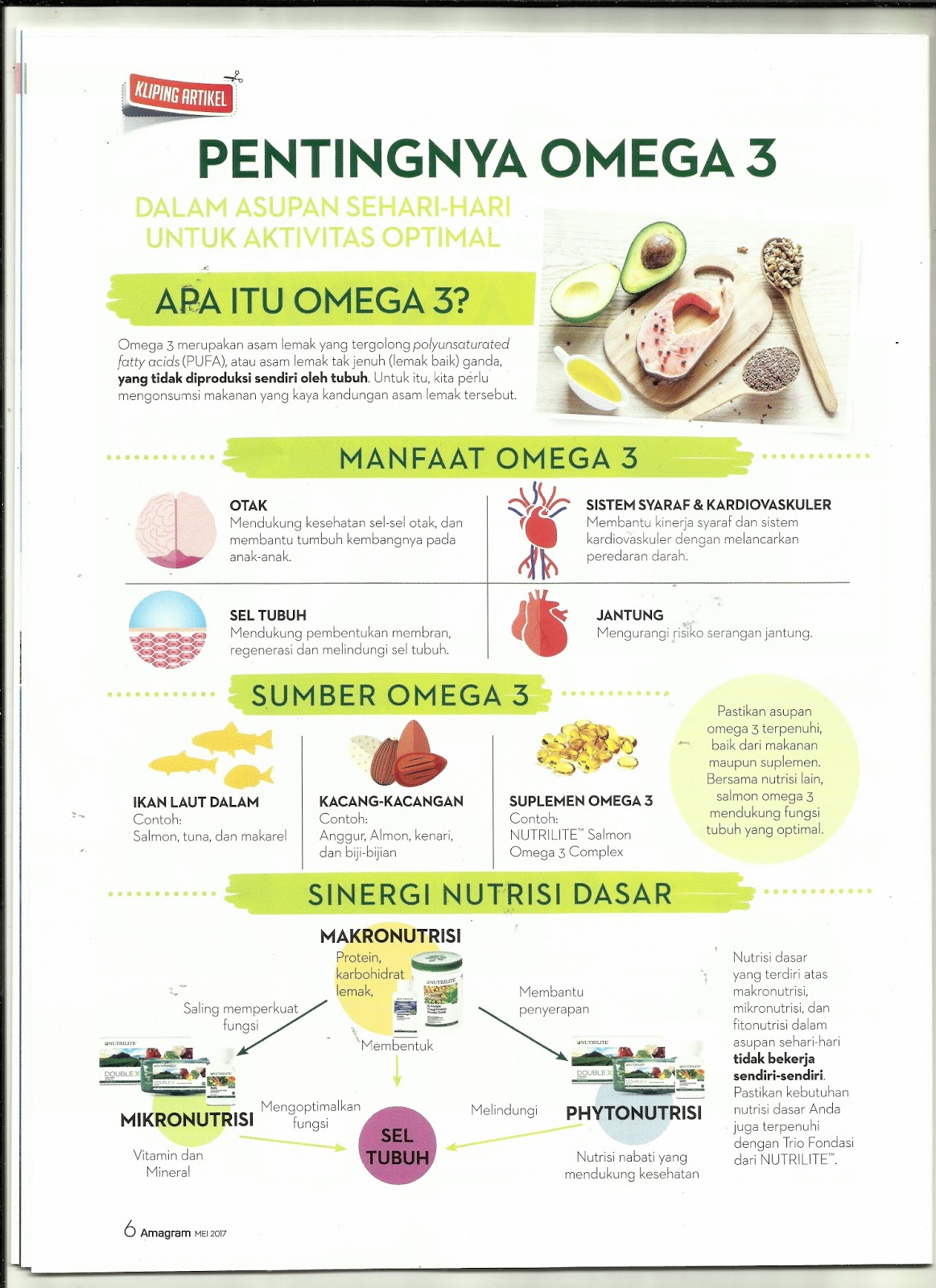 Apa itu Salmon Omega 3? ~ HOT DADDY