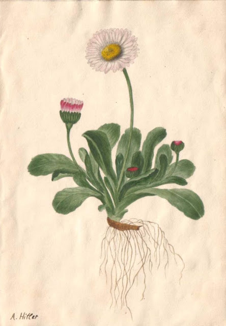 Paintings by Adolf Hitler: 40 Rarely Seen Artworks Painted by the ...