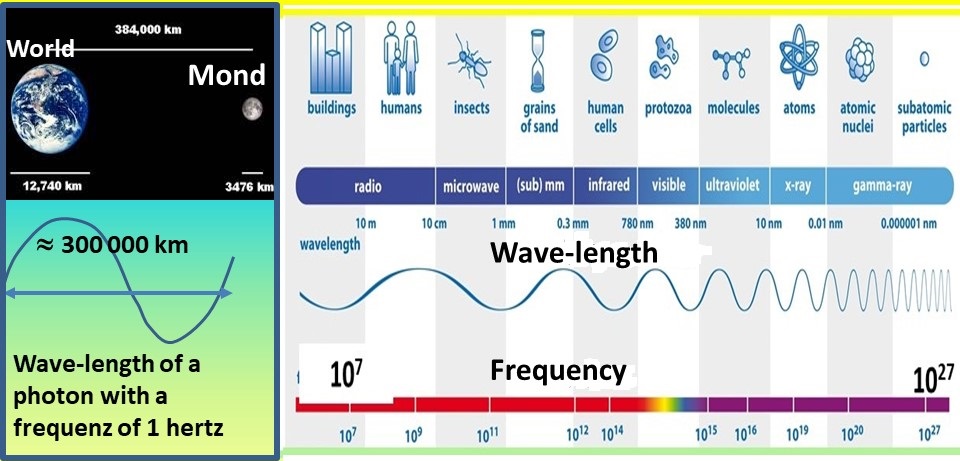 Dynamical Organisation Mechanism (DOM) in Nature : string-theory & 11 ...