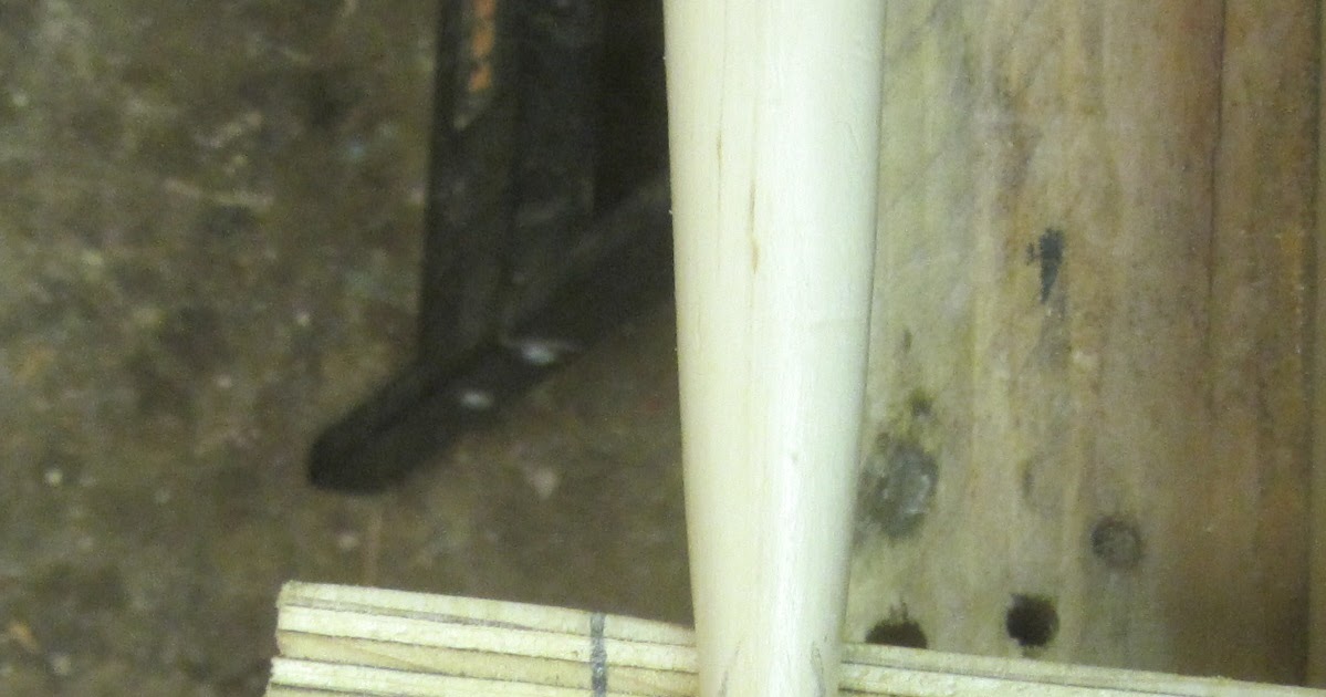 Bowyer's Diary: Wonky Hazel Shoots Clean