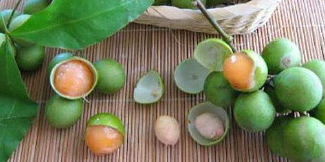 El mamón: Una exquisitez saludable y beneficiosa