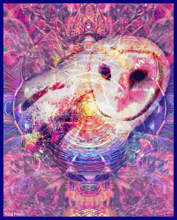 31 Psychedelic Trippy Owl Pictures