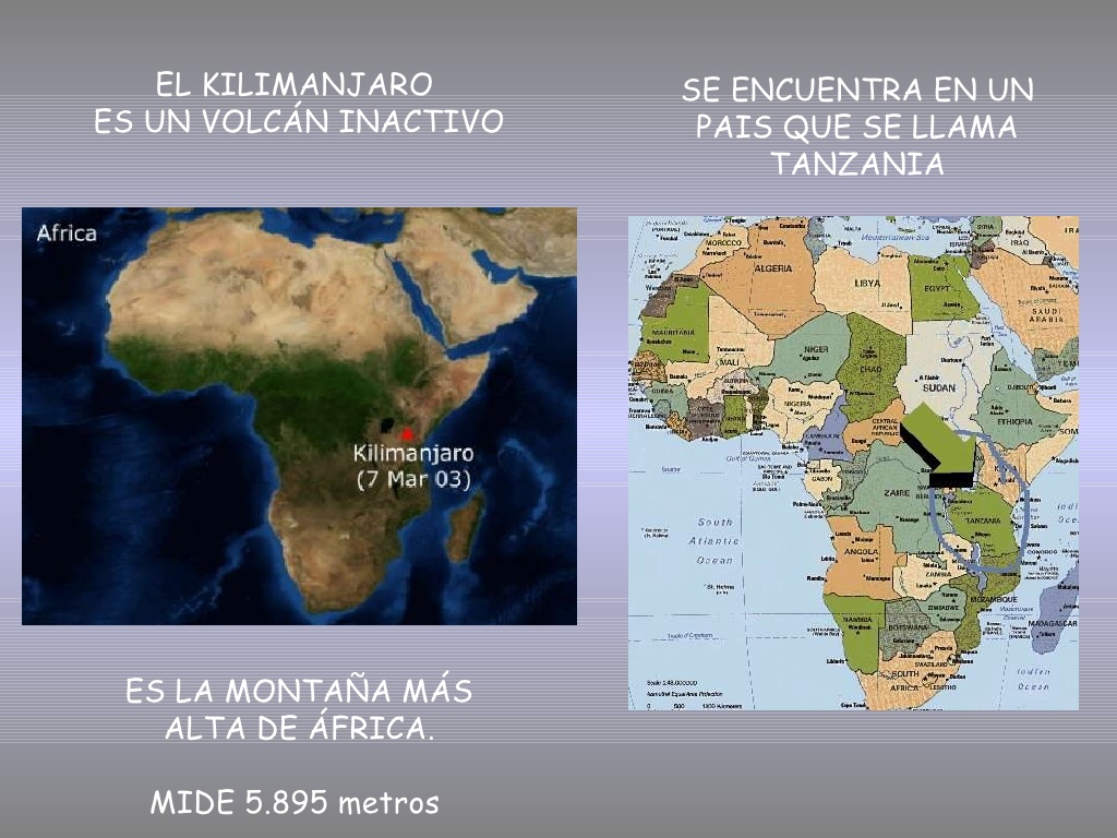 CHIRIBITAS: VIAJE A LA SABANA